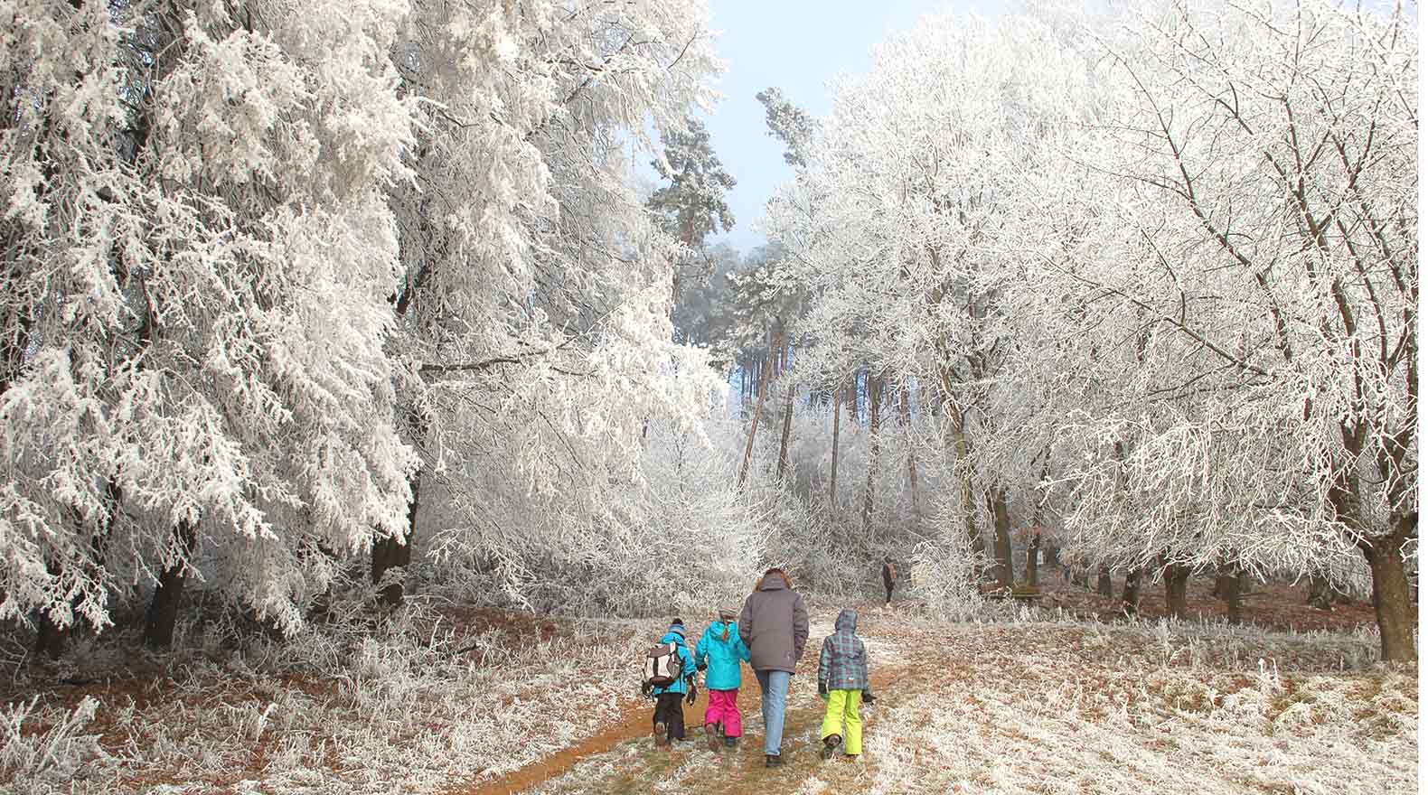 Der Hesselberg - Wanderung mit Alpenblick - Familienmagazin frankenkids