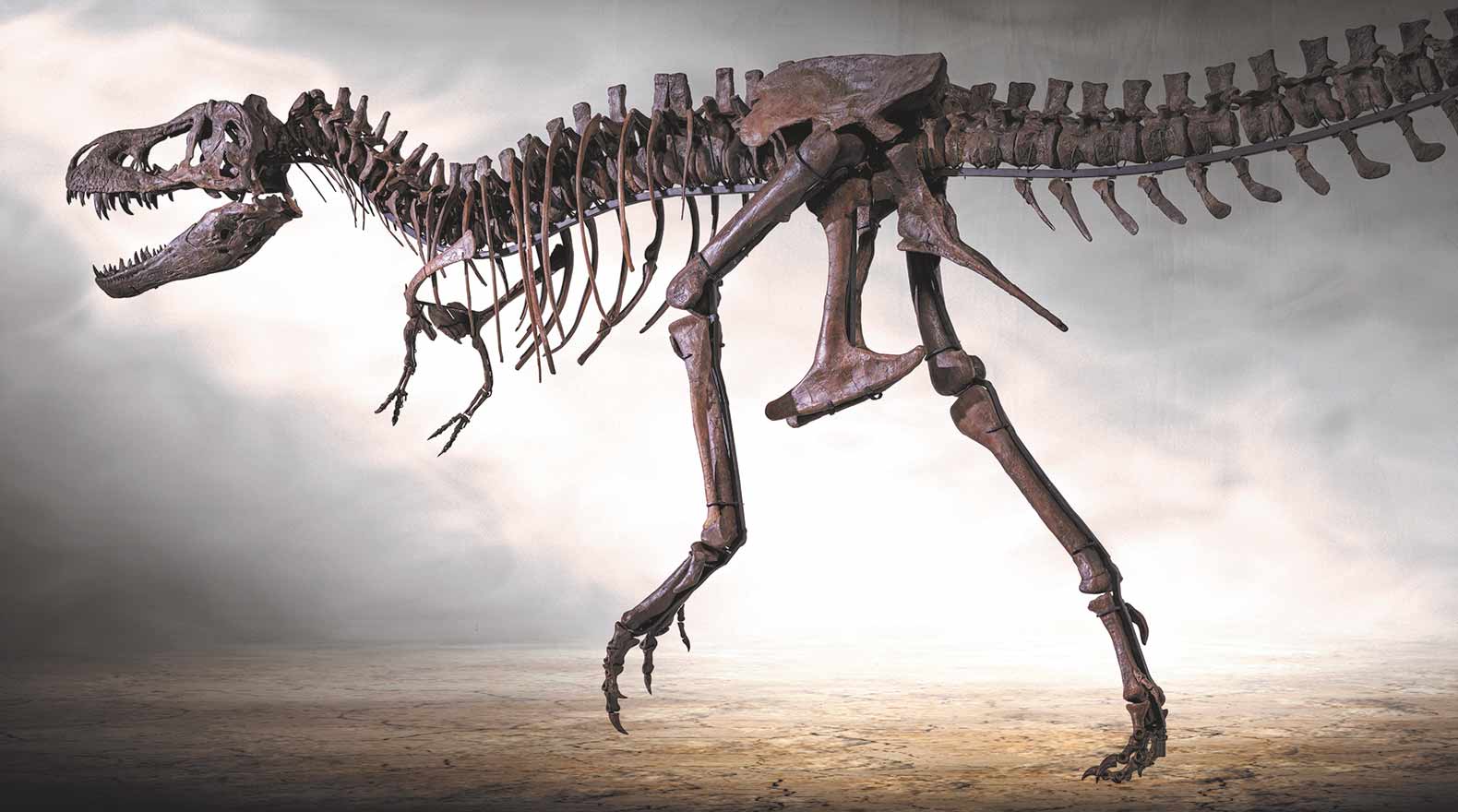 Dinosaurier Museum Altmühltal - frankenkids.de